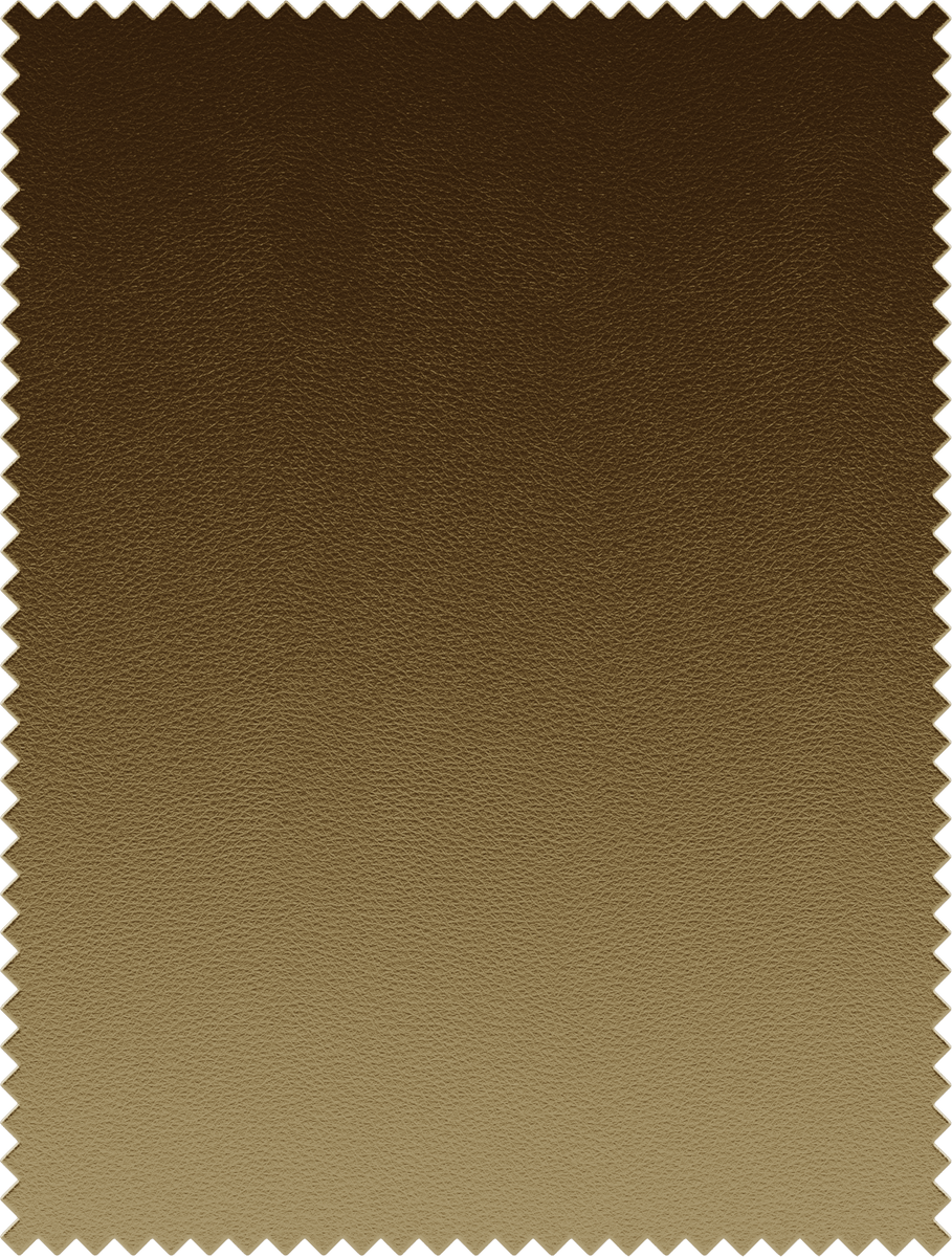 Metallic Gold Swatch – VantPanels.com